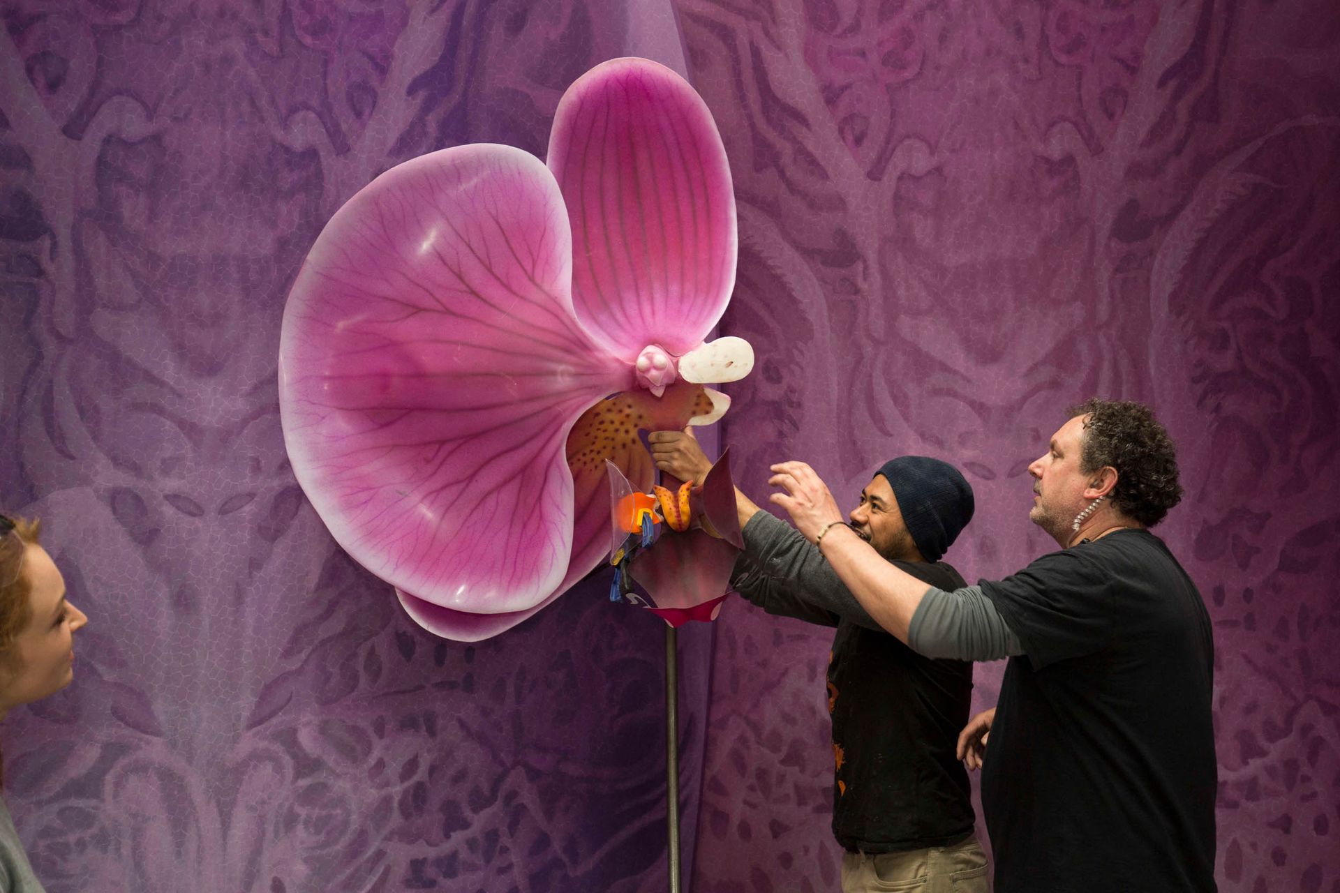 The Bug Lab | Wētā Workshop