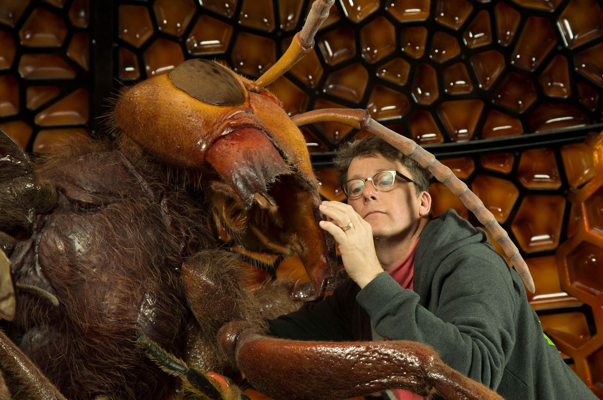 The Bug Lab Gallery | Wētā Workshop
