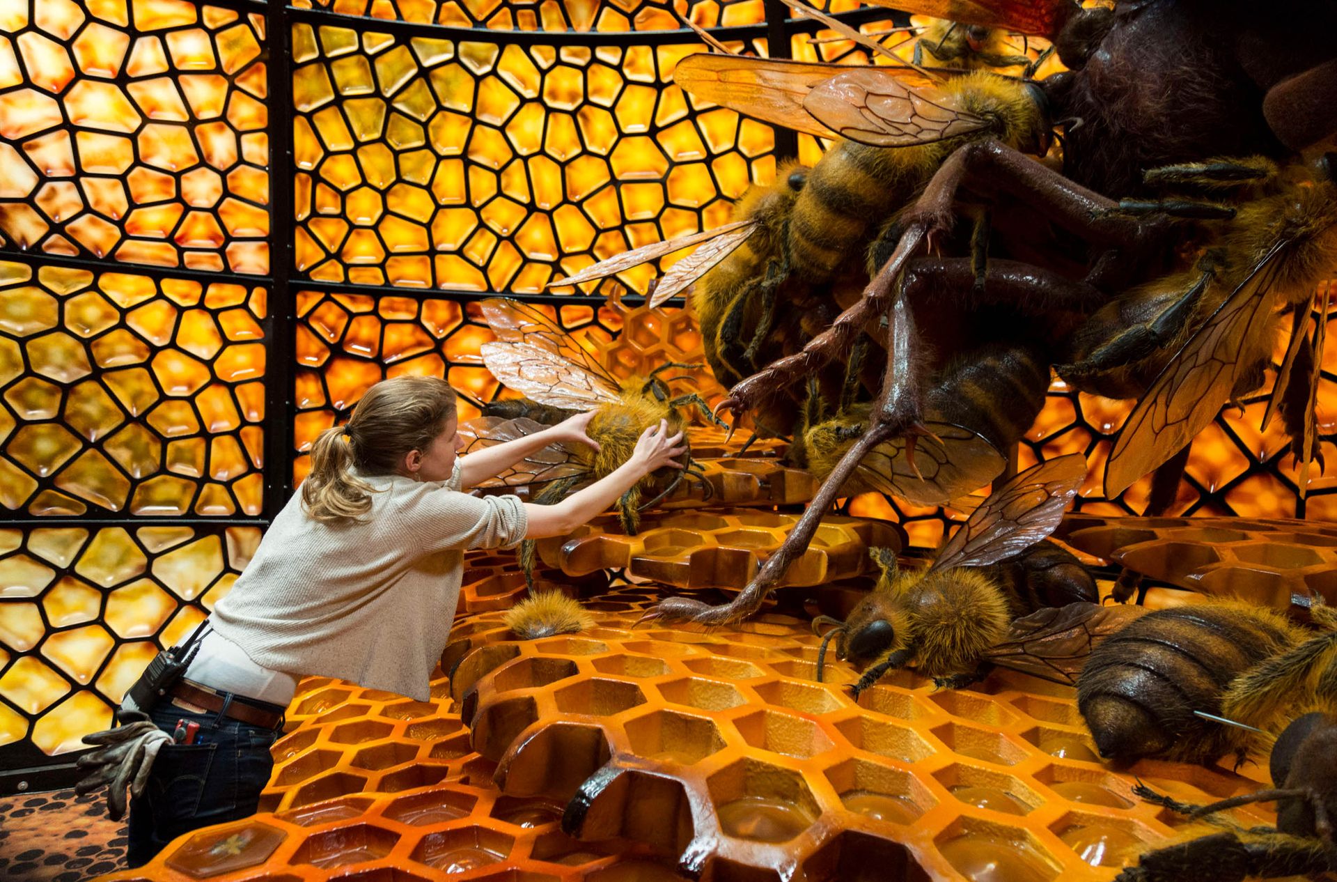 The Bug Lab | Wētā Workshop