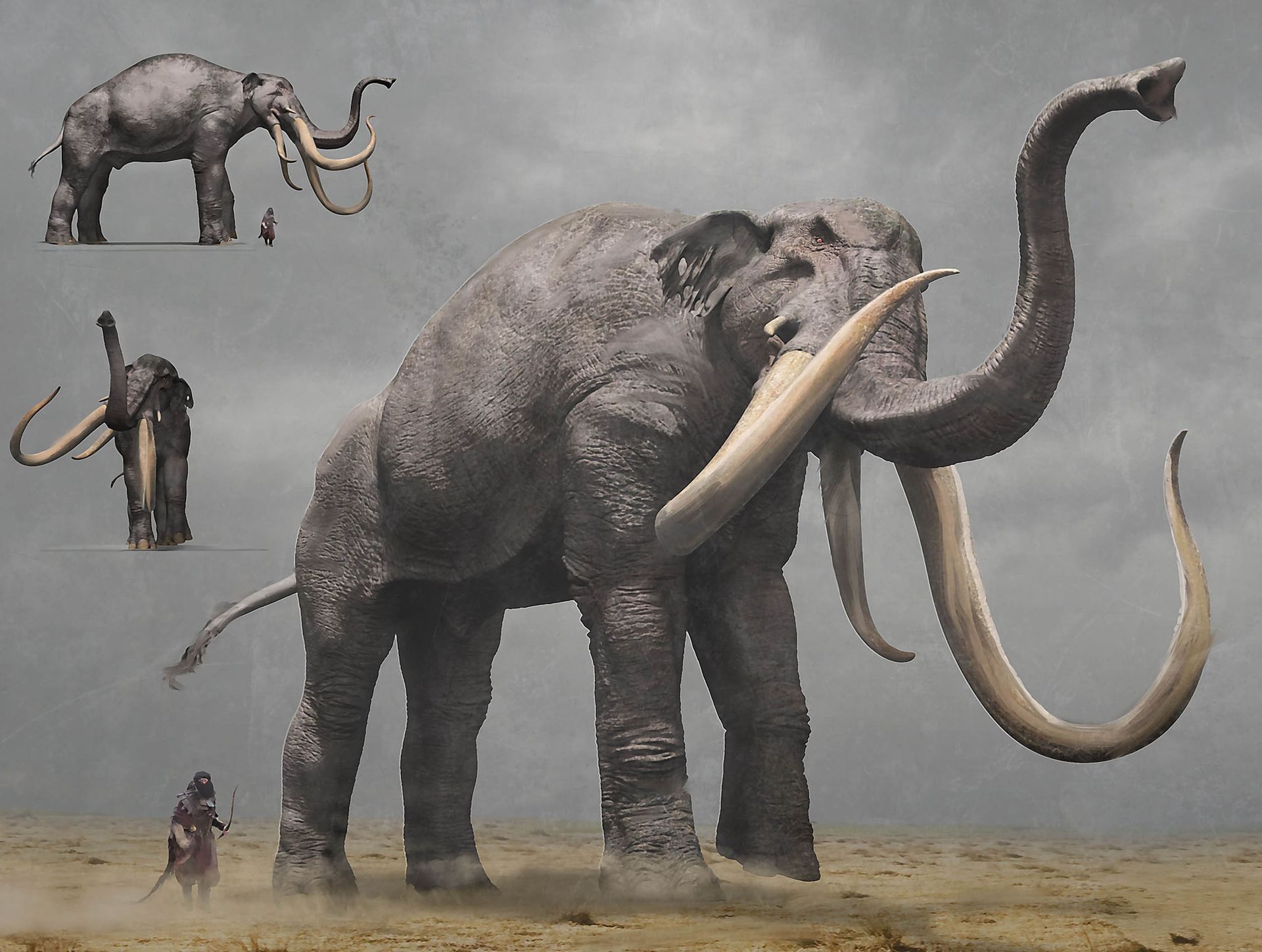 Creature Design | Wētā Workshop