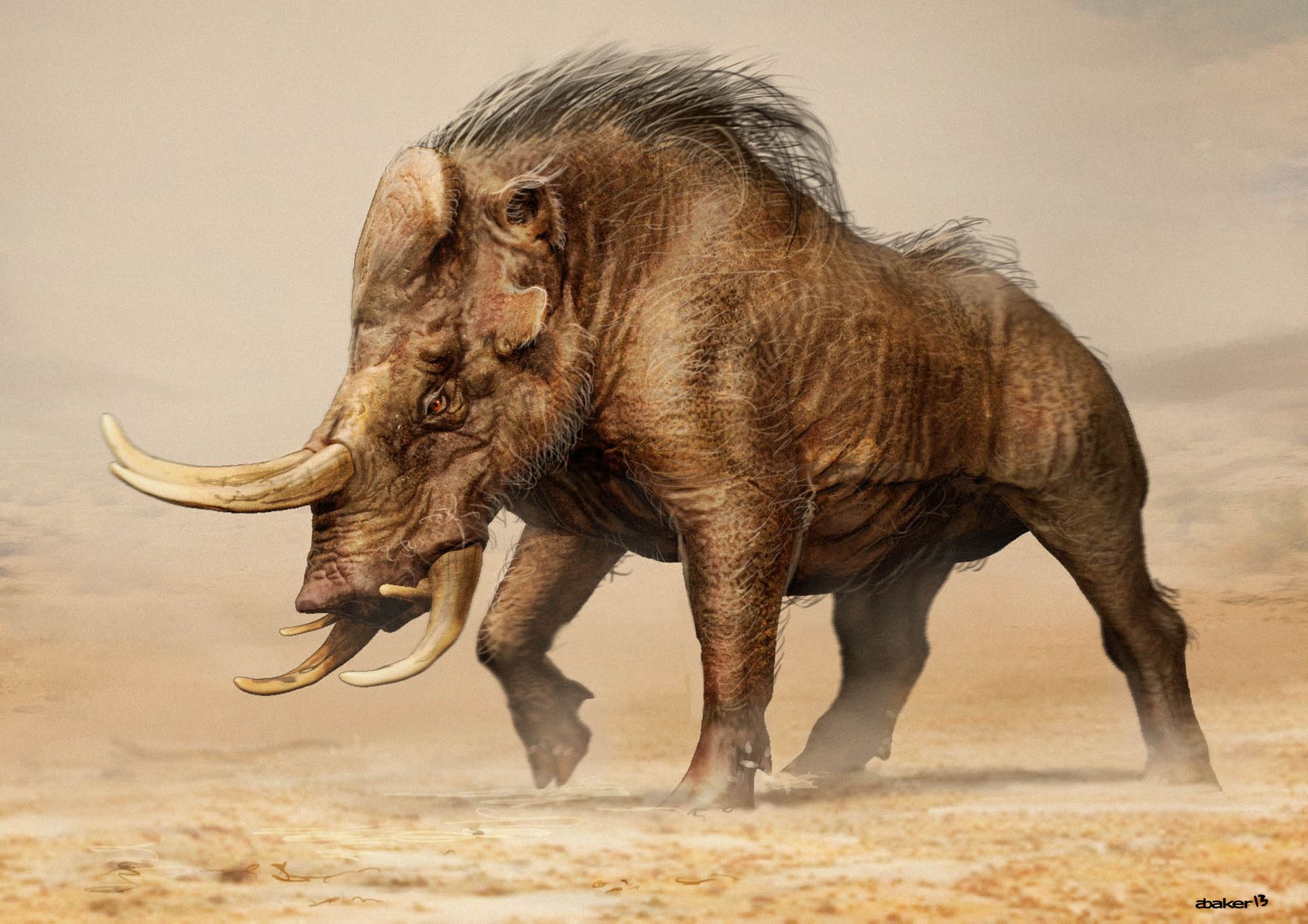 Creature Design | Wētā Workshop