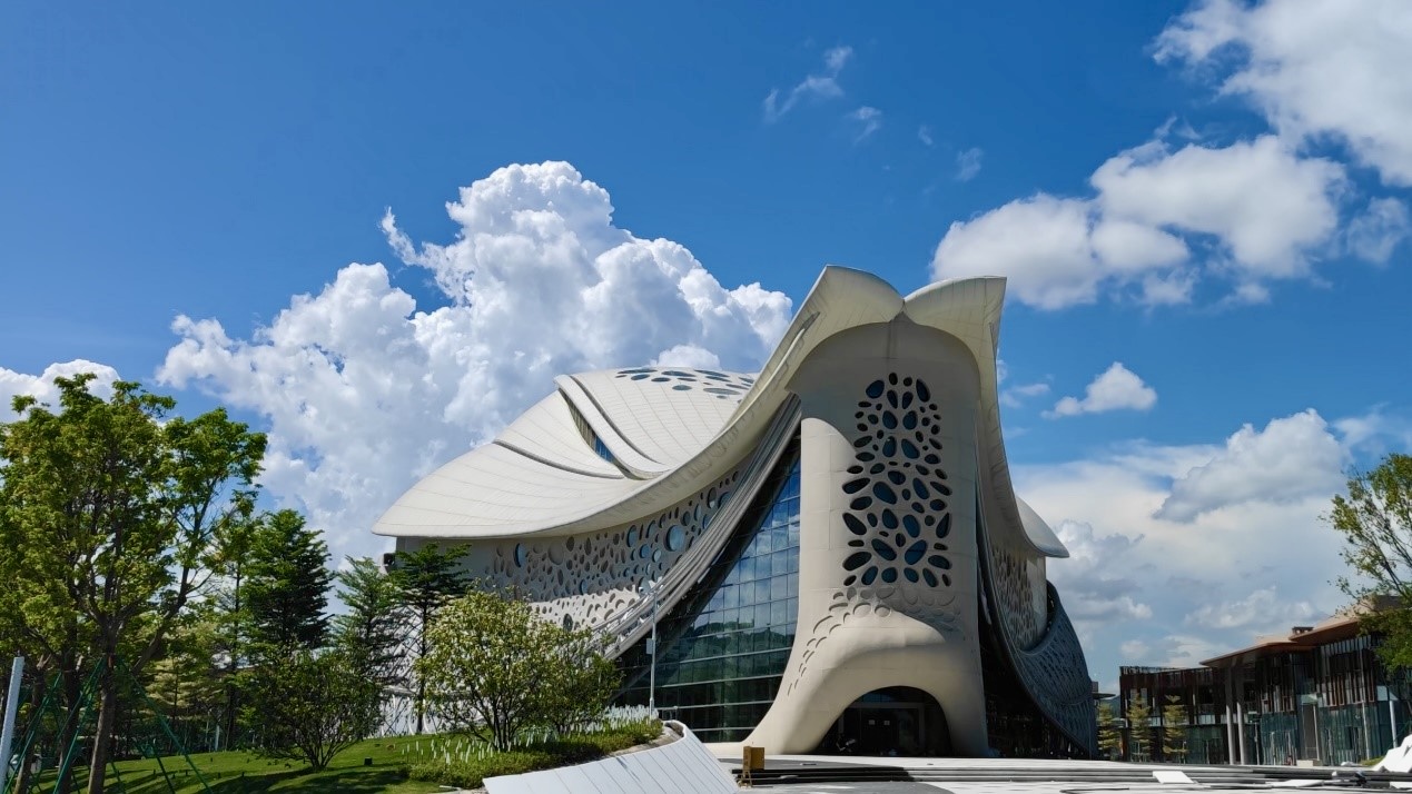 Traditional Chinese Medicine Museum | Wētā Workshop