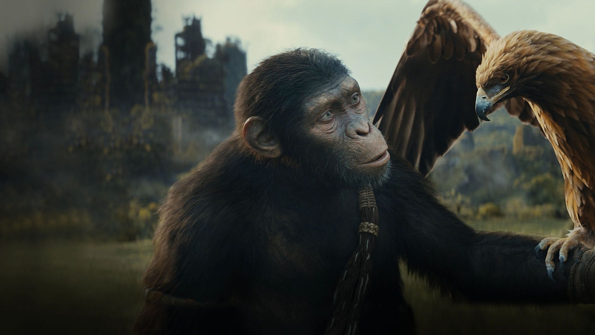 Kingdom of the Planet of the Apes Credits | Wētā Workshop