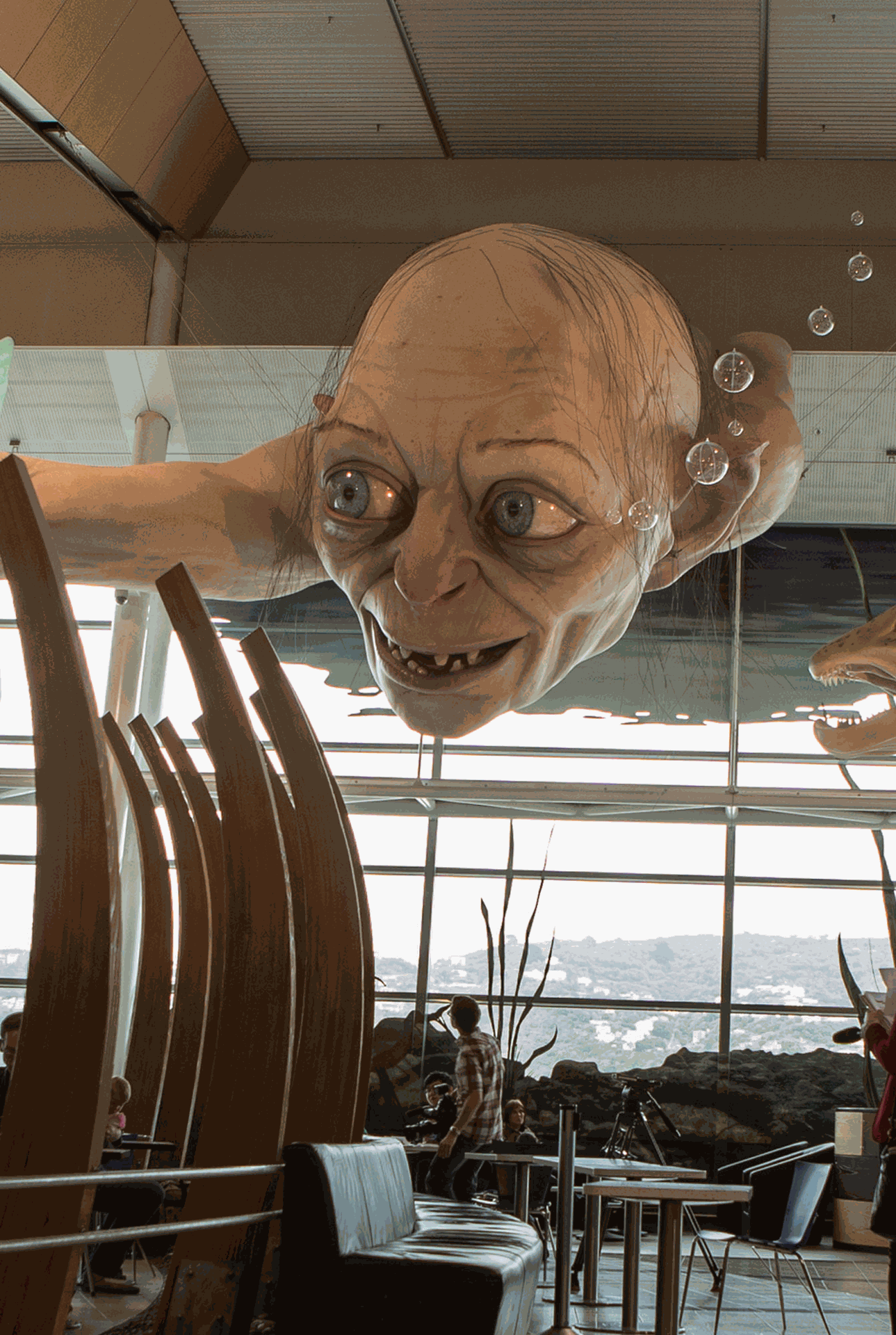 Manu Muramura at Wellington Airport