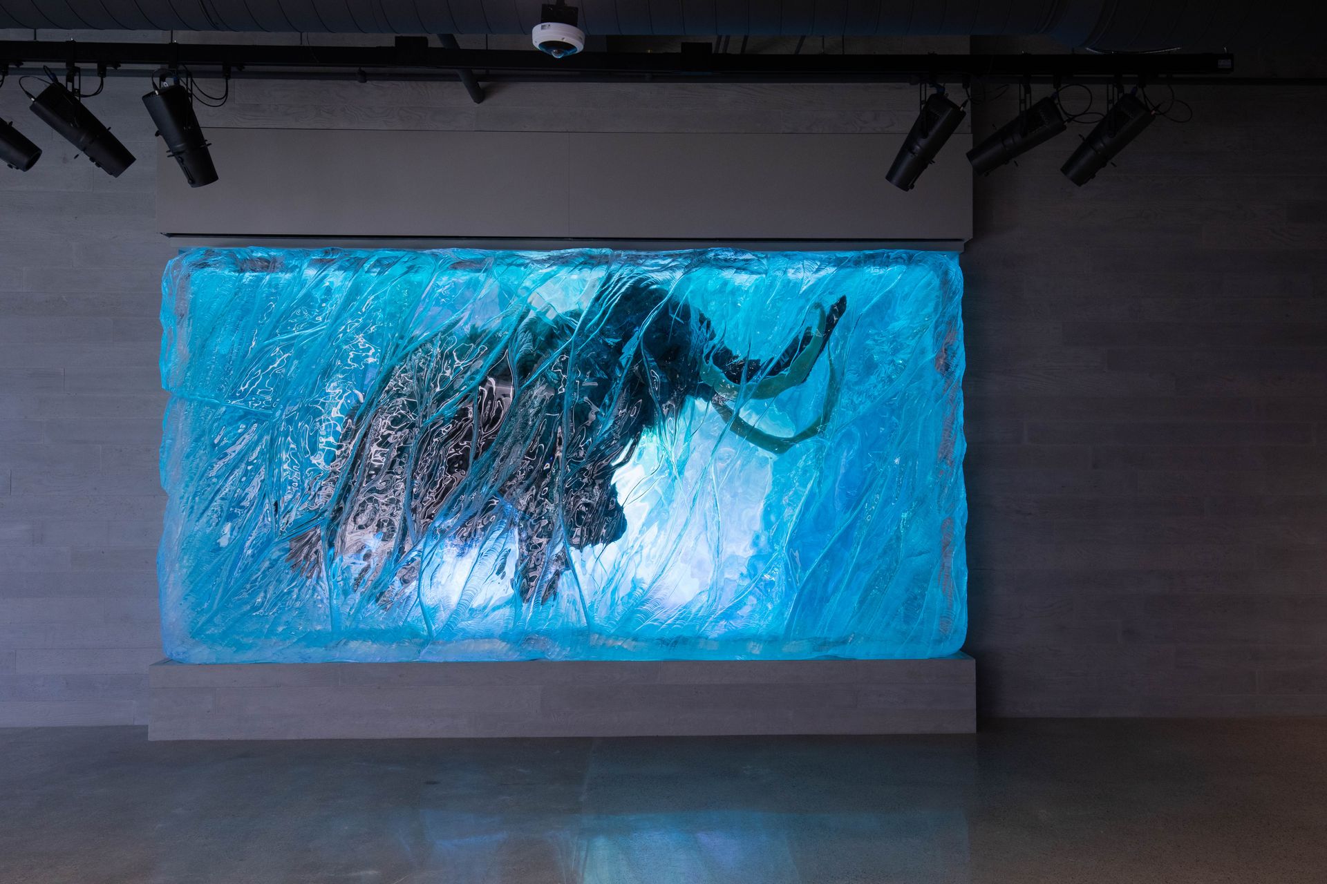 Colossal Biosciences | Wētā Workshop