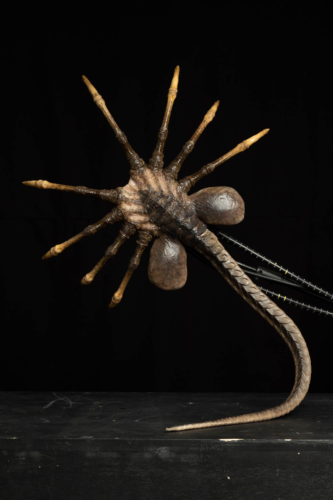 Alien: Romulus | Wētā Workshop